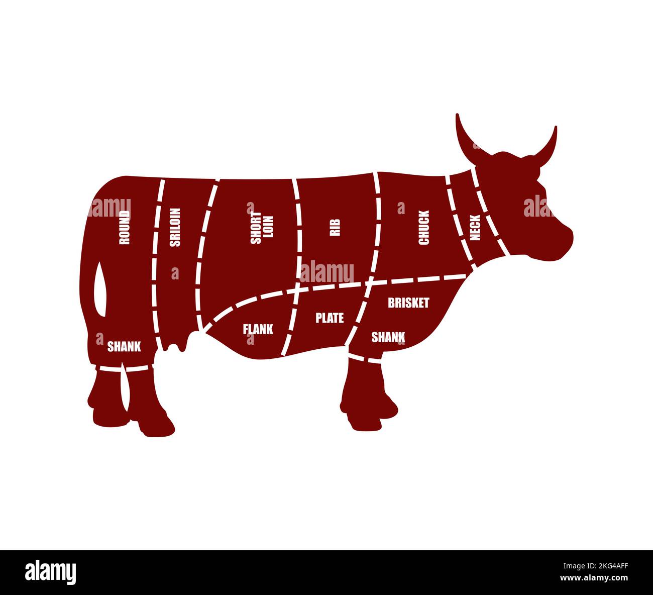 Cow cutting meat. Butcher Manual butchering beef carcasses Stock Vector ...