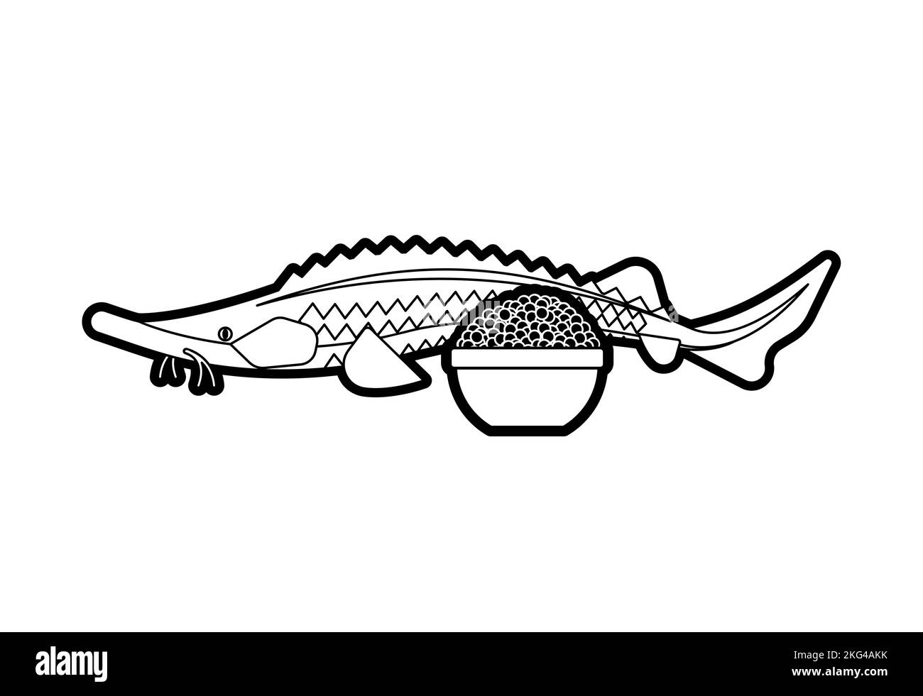 Sturgeon and black caviar isolated. Fish delicacy Stock Vector Image ...