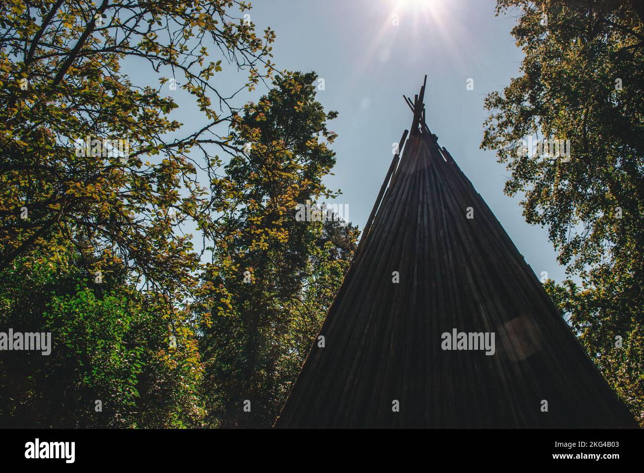 huge bonfire of tree branches in a triangular shape under a blue sky ...
