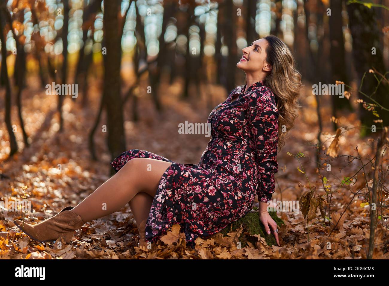 Plus size beautiful woman in an oak forest in the late autumn Stock ...