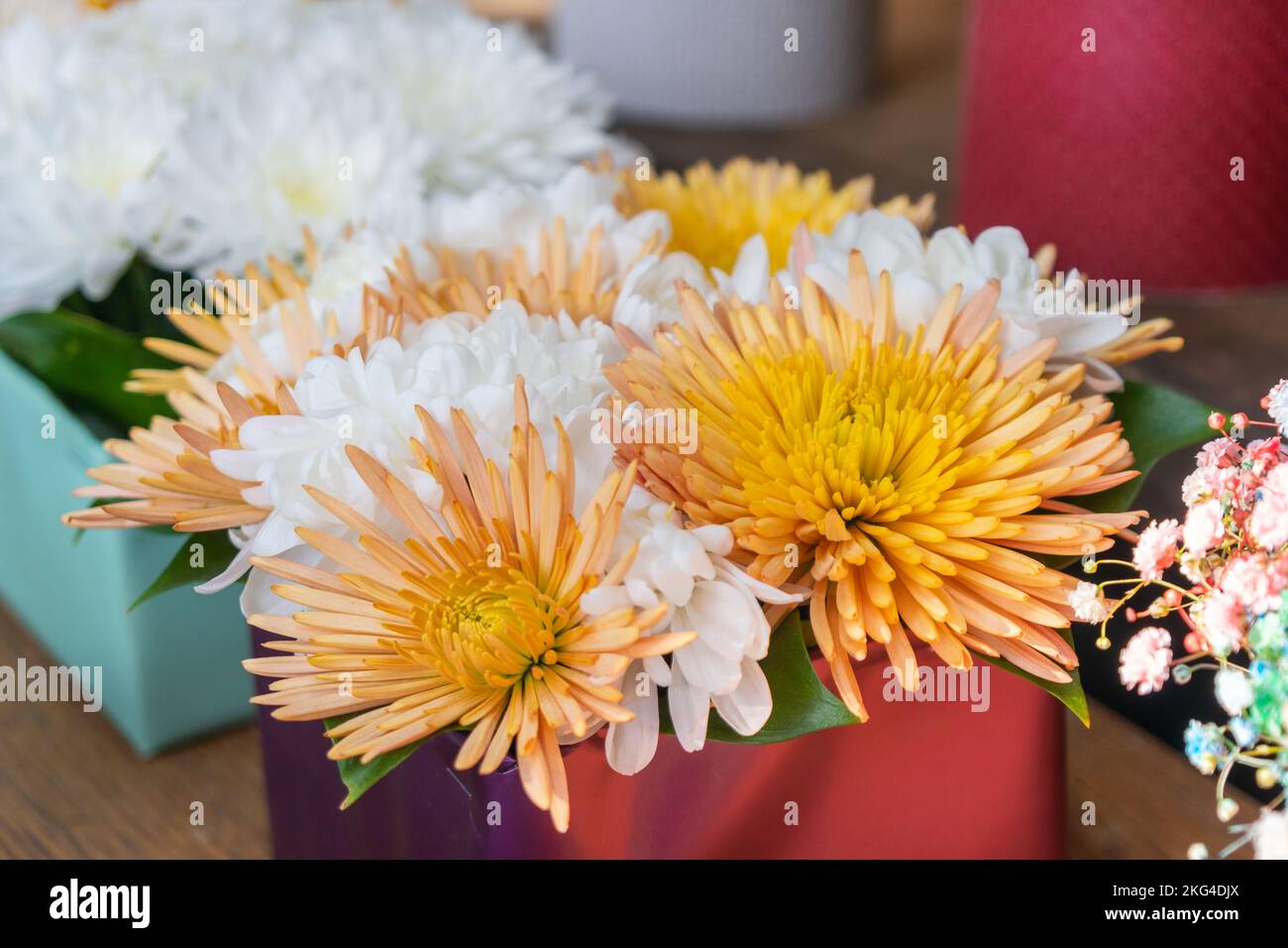 Beautiful bouquet of different varieties of flowers. Gift Stock Photo ...