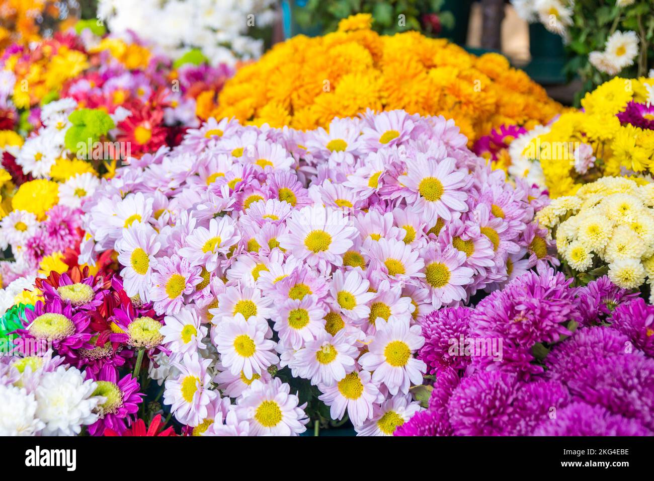 Beautiful bouquet of different varieties of flowers Stock Photo - Alamy