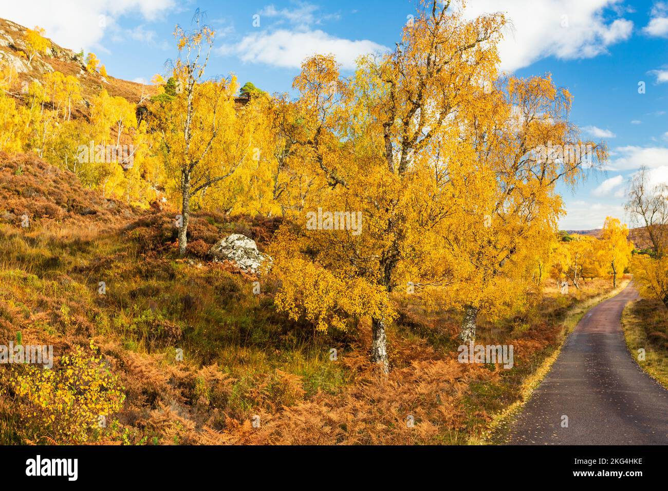 A single track road leading through the beautiful, remote Glen ...