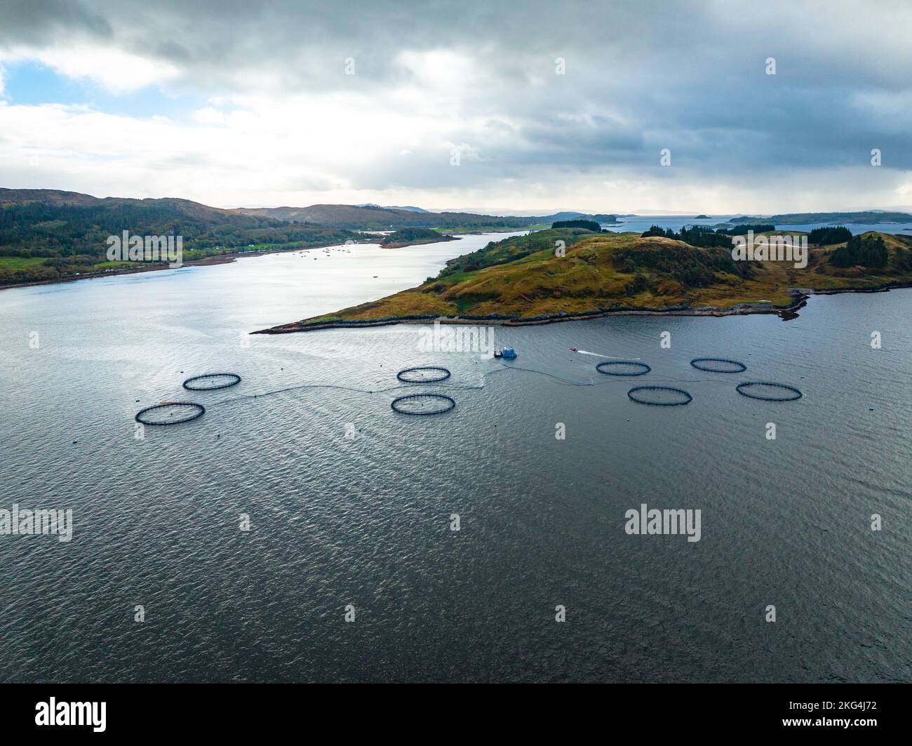 Fish farming aquaculture nets containing hi-res stock photography and ...
