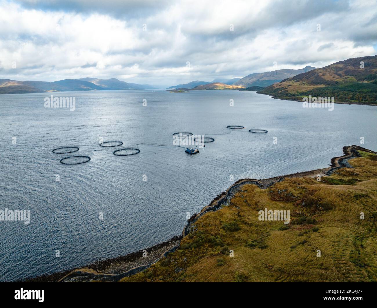 Aquaculture Sea Farm Nets Containing Fish for the Food Market Stock ...