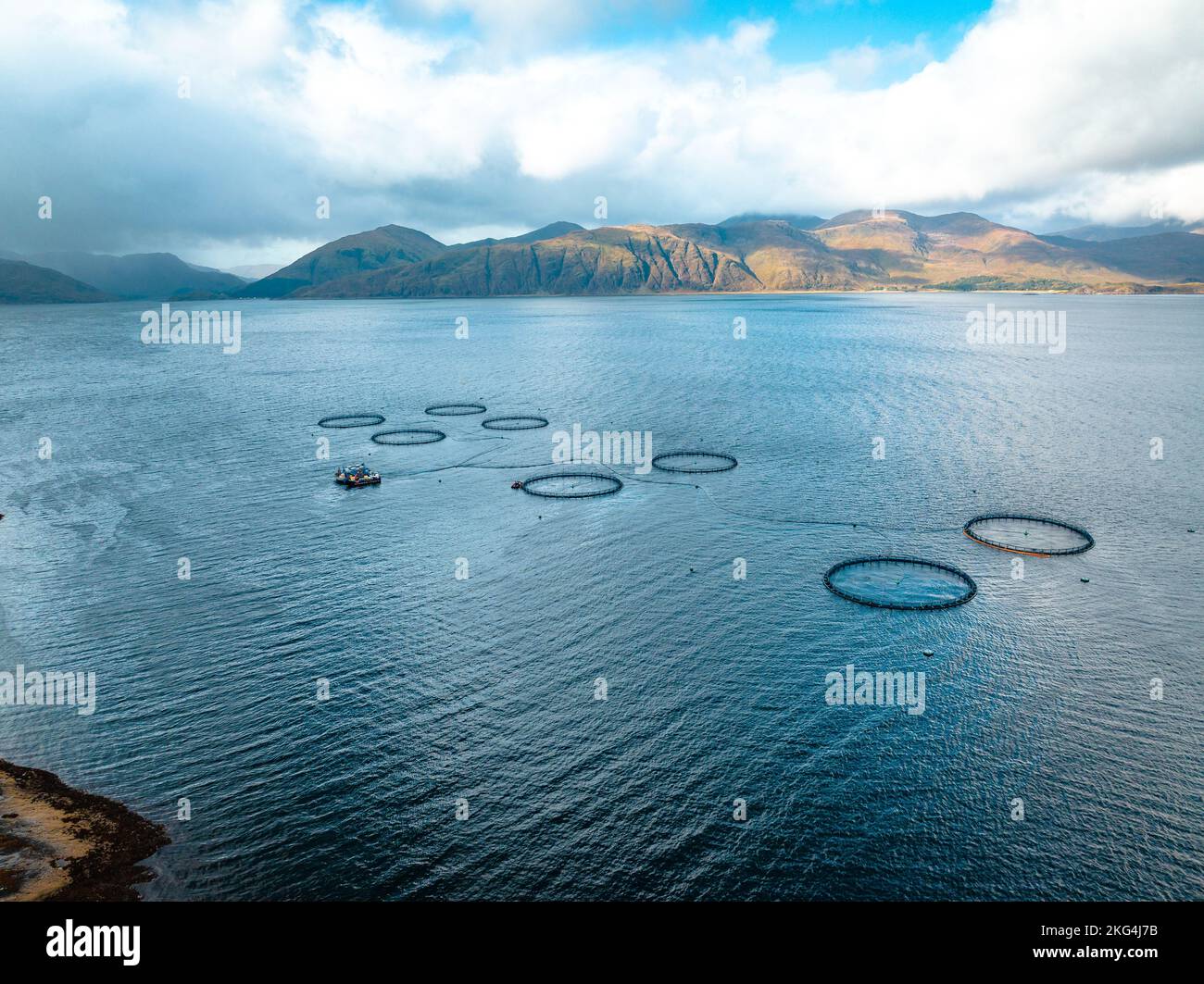 Aquaculture Sea Farm Nets Containing Fish for the Food Market Stock ...