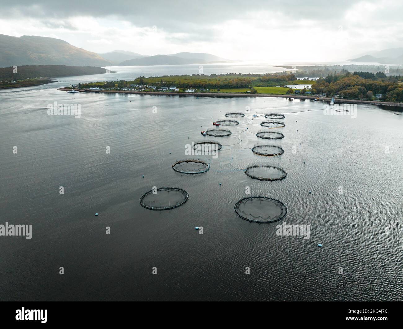 Fish farming aquaculture nets containing hi-res stock photography and ...