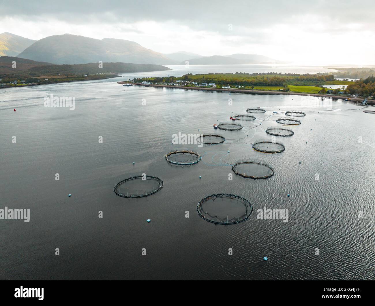 Aquaculture Sea Farm Nets Containing Fish for the Food Market Stock ...