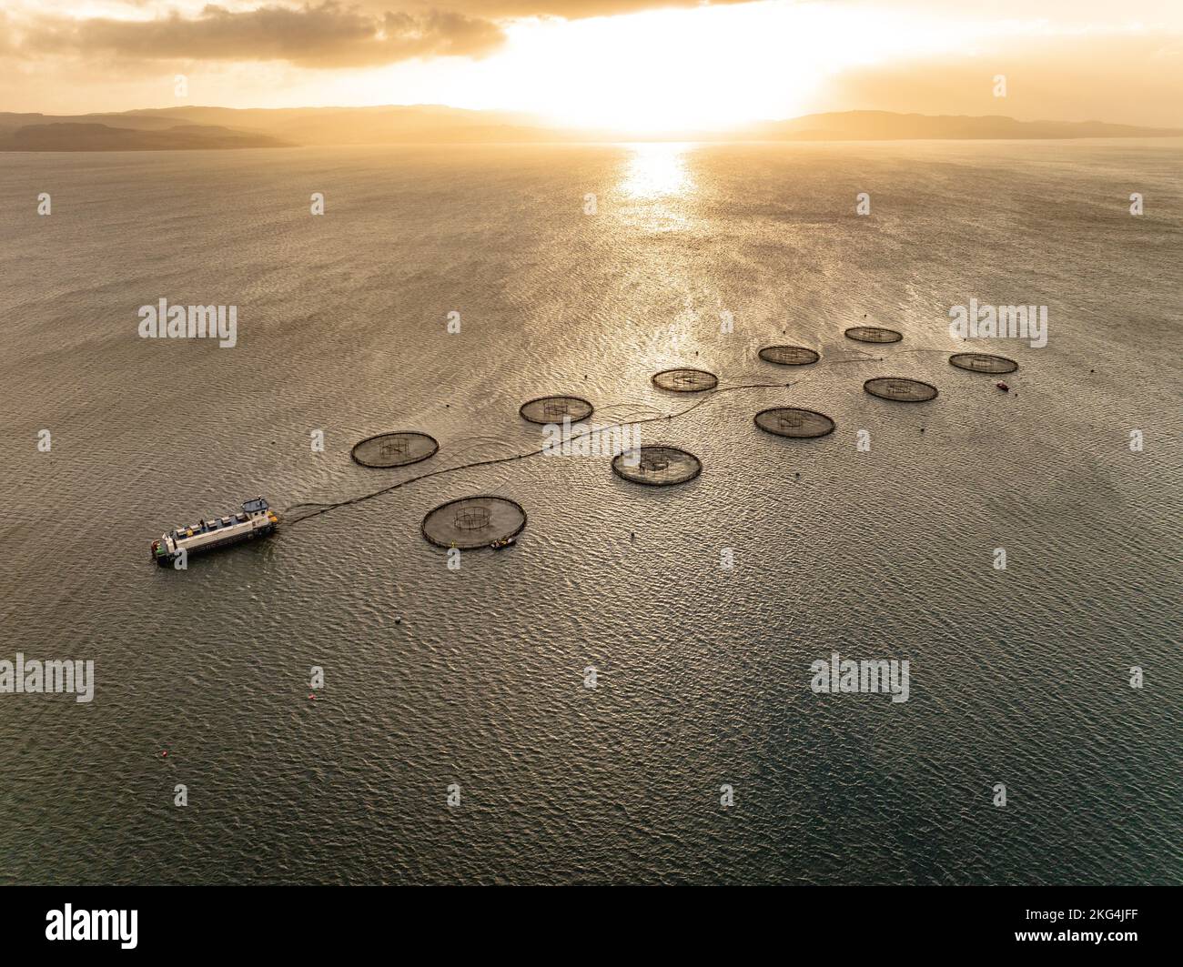 Aquaculture Sea Farm Nets Containing Fish for the Food Market Stock ...