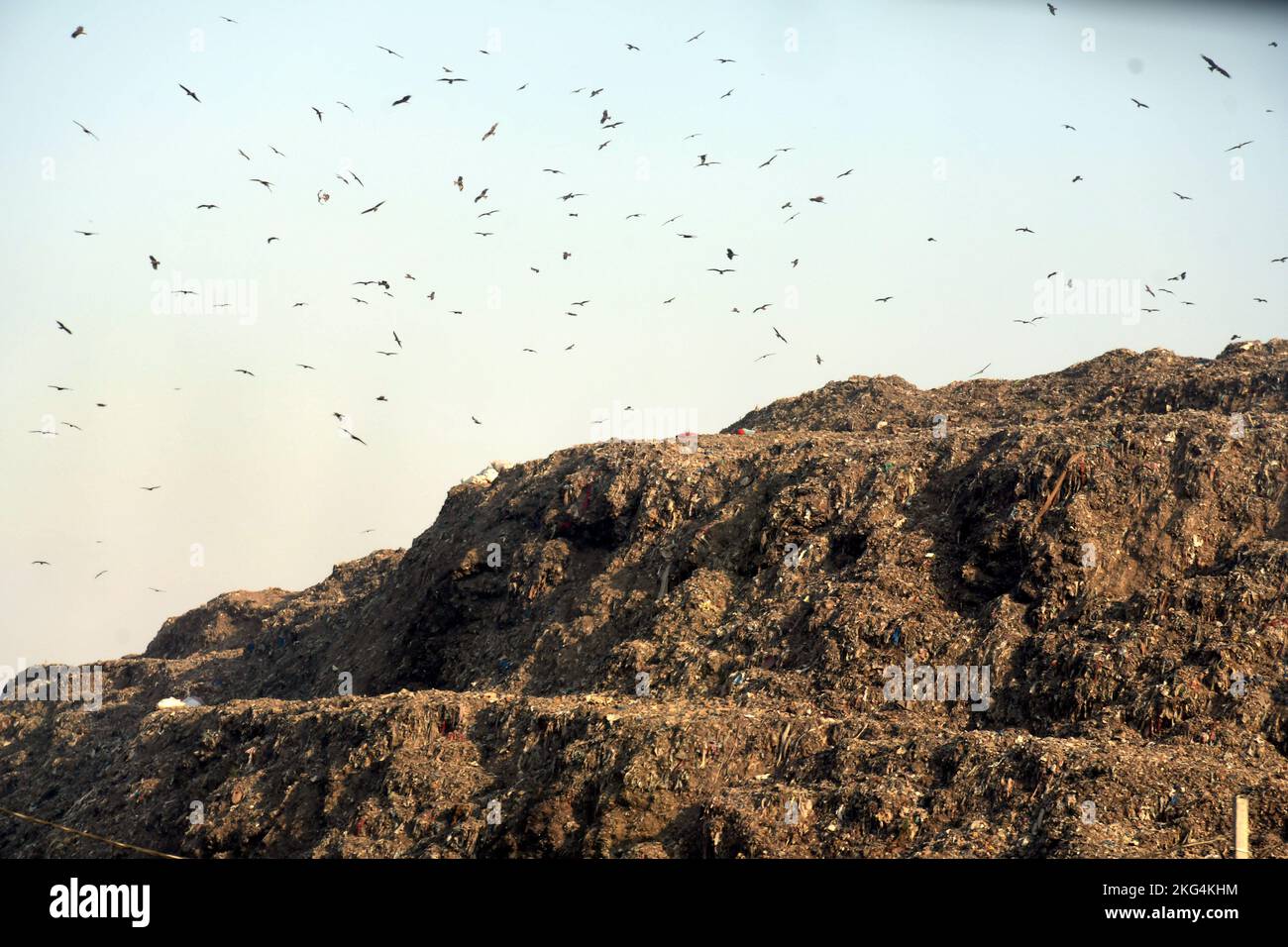Sanitary landfill india hi-res stock photography and images - Alamy