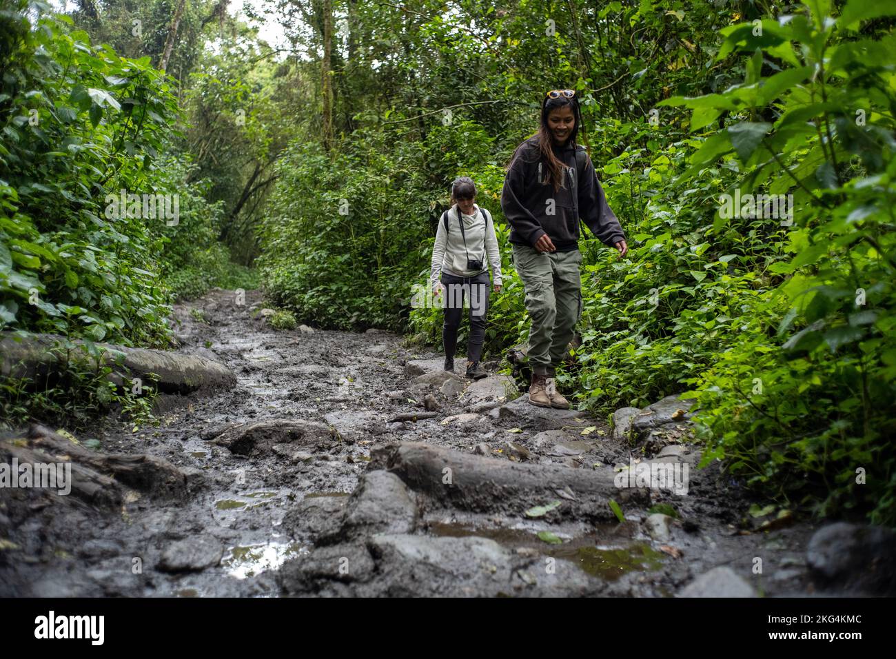Wet rocky trail in hi-res stock photography and images - Alamy