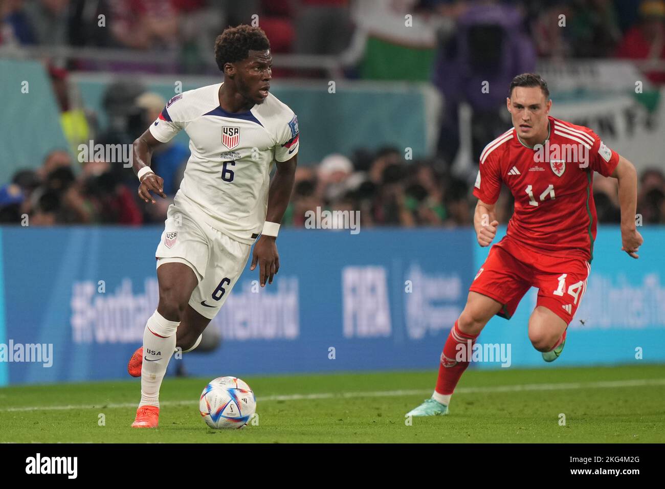 Doha, Qatar. 21st Nov, 2022. Yunus Musah of USA during the, Qatar ...