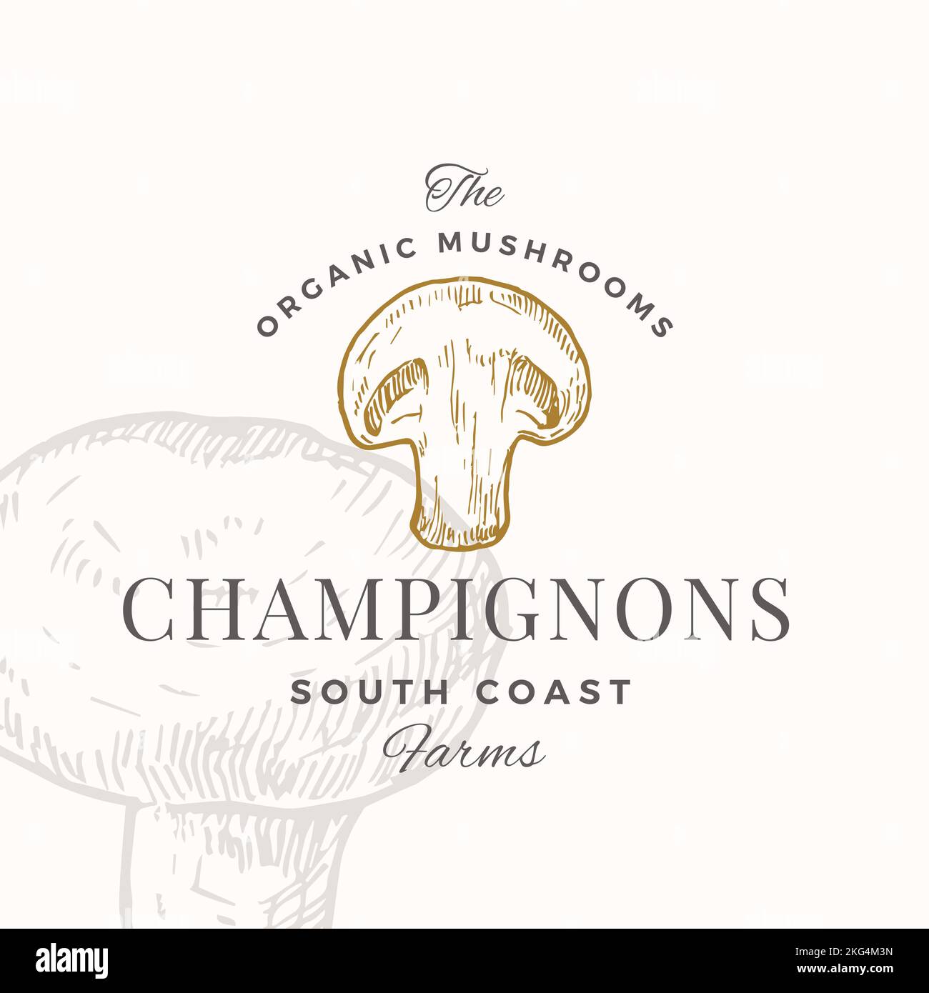 Champignons Badge Logo Template. Hand Drawn Mushrooms Sketch with Retro ...