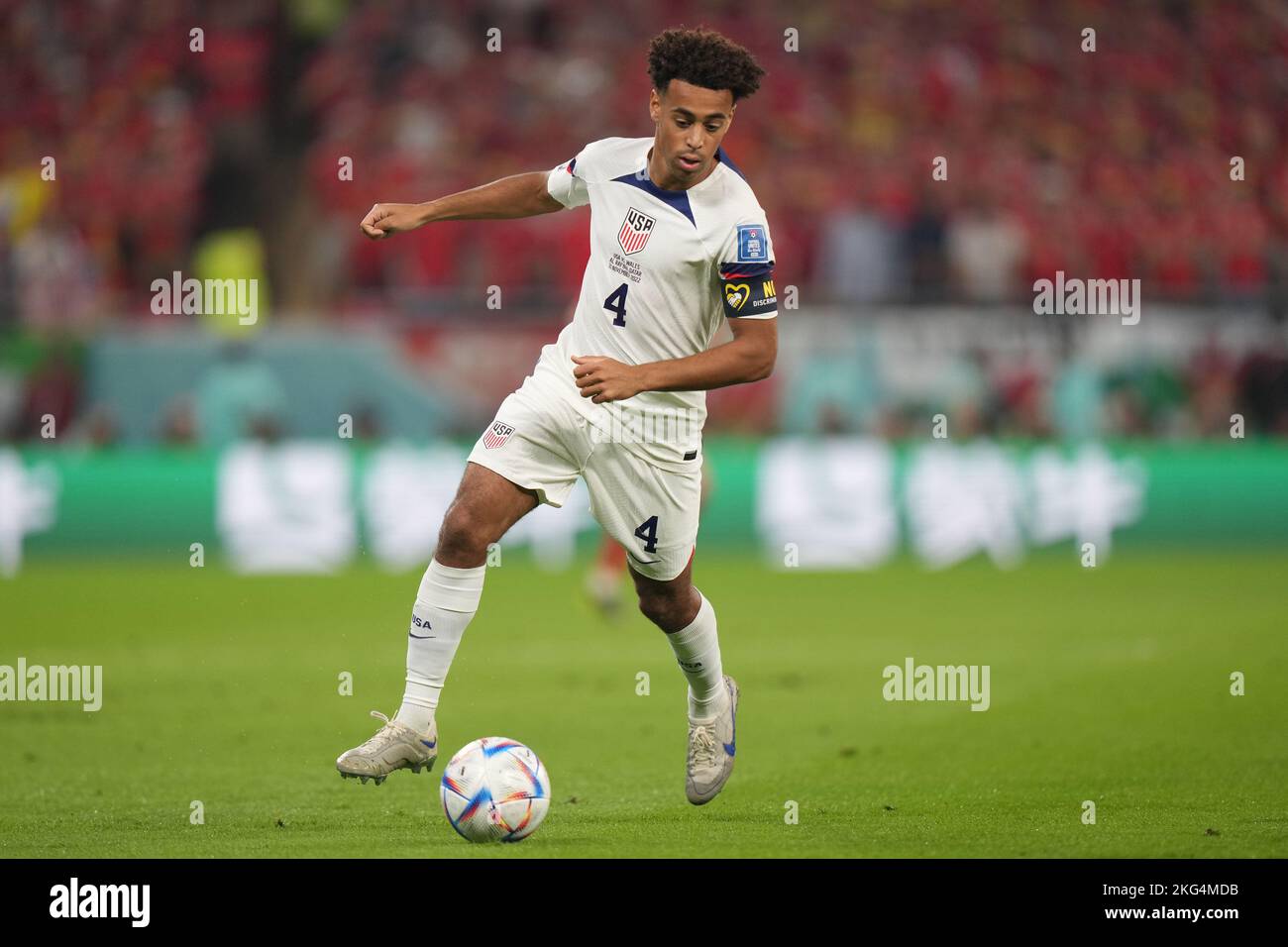 Tyler Adams of USA during the Qatar 2022 World Cup match, group B, date ...