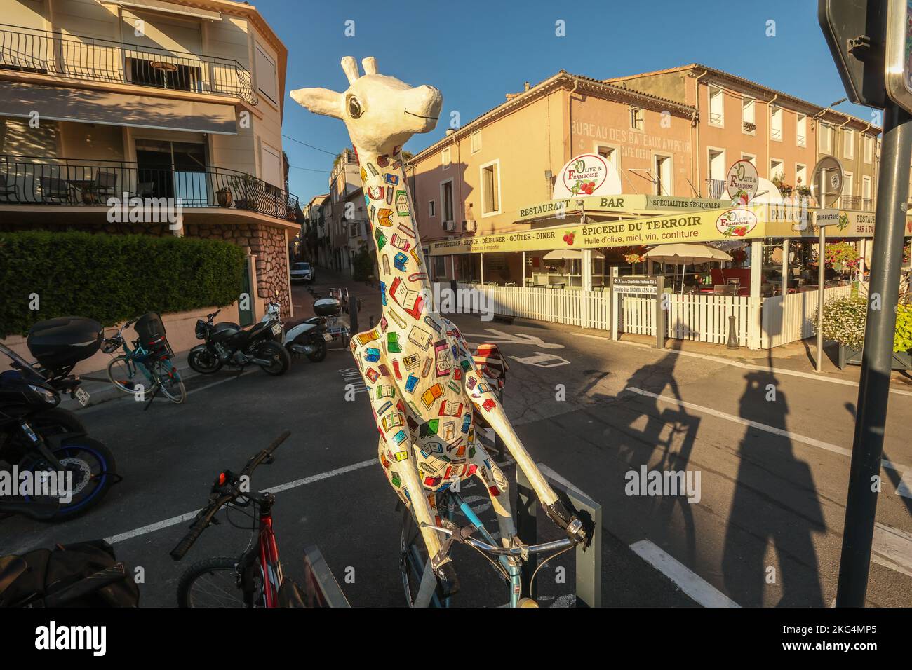 Giraffe on a bicycle hi-res stock photography and images - Alamy