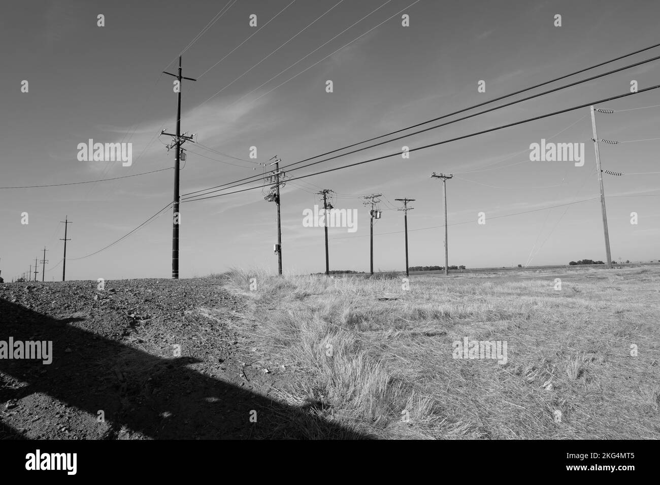 A grayscale of electrical poles and power lines along the side of a ...
