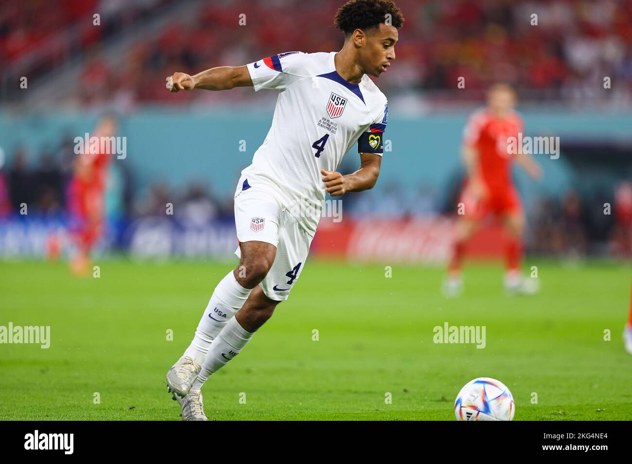 Tyler Adams during the FIFA World Cup Qatar 2022 Group B match between ...