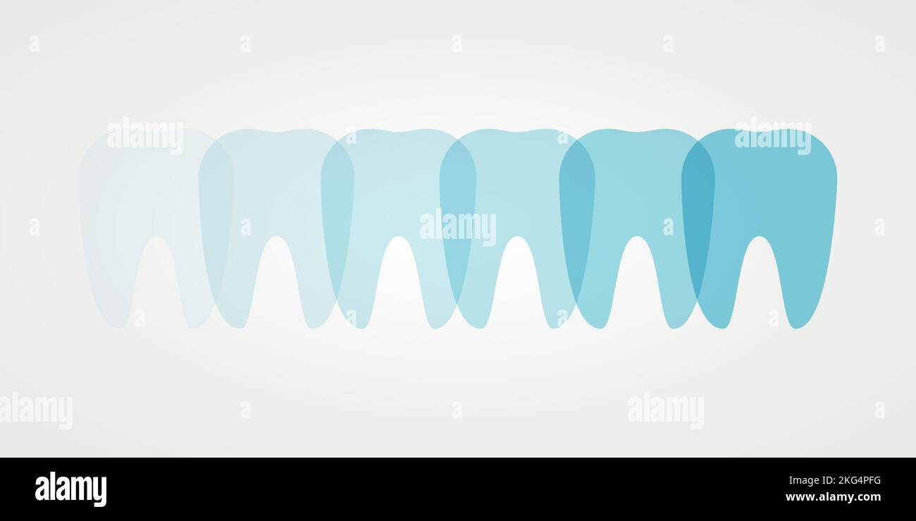 Teeth illustration. Translucent silhouettes. Horizontal format. Vector ...