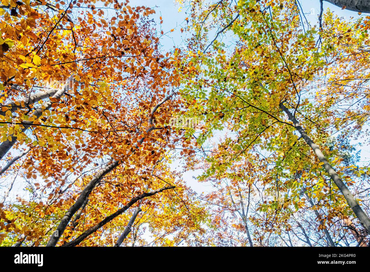 Strazov hi-res stock photography and images - Alamy