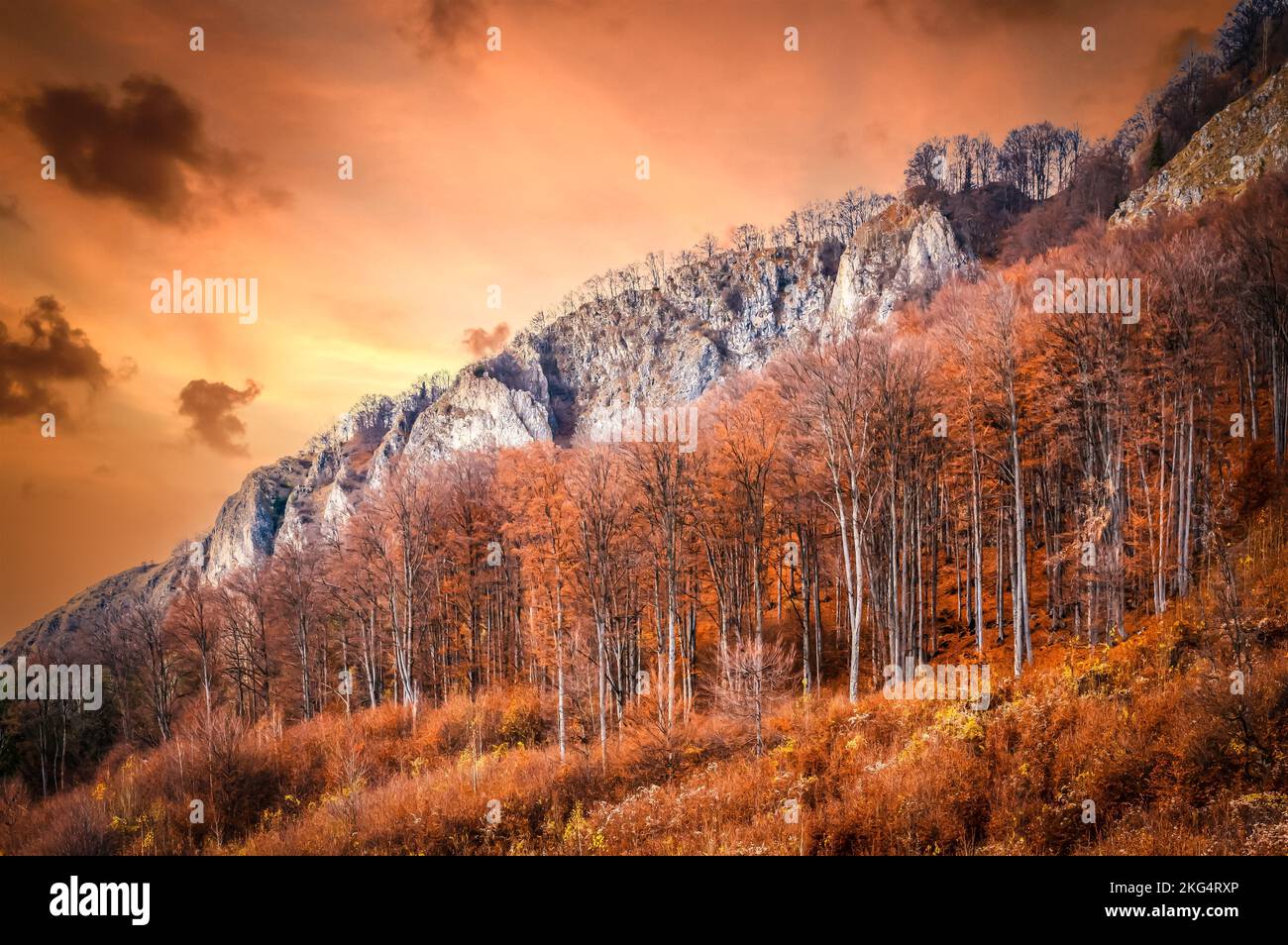 A scenic view of Piatra Dragoslavelor peak in Leaota mountains ...
