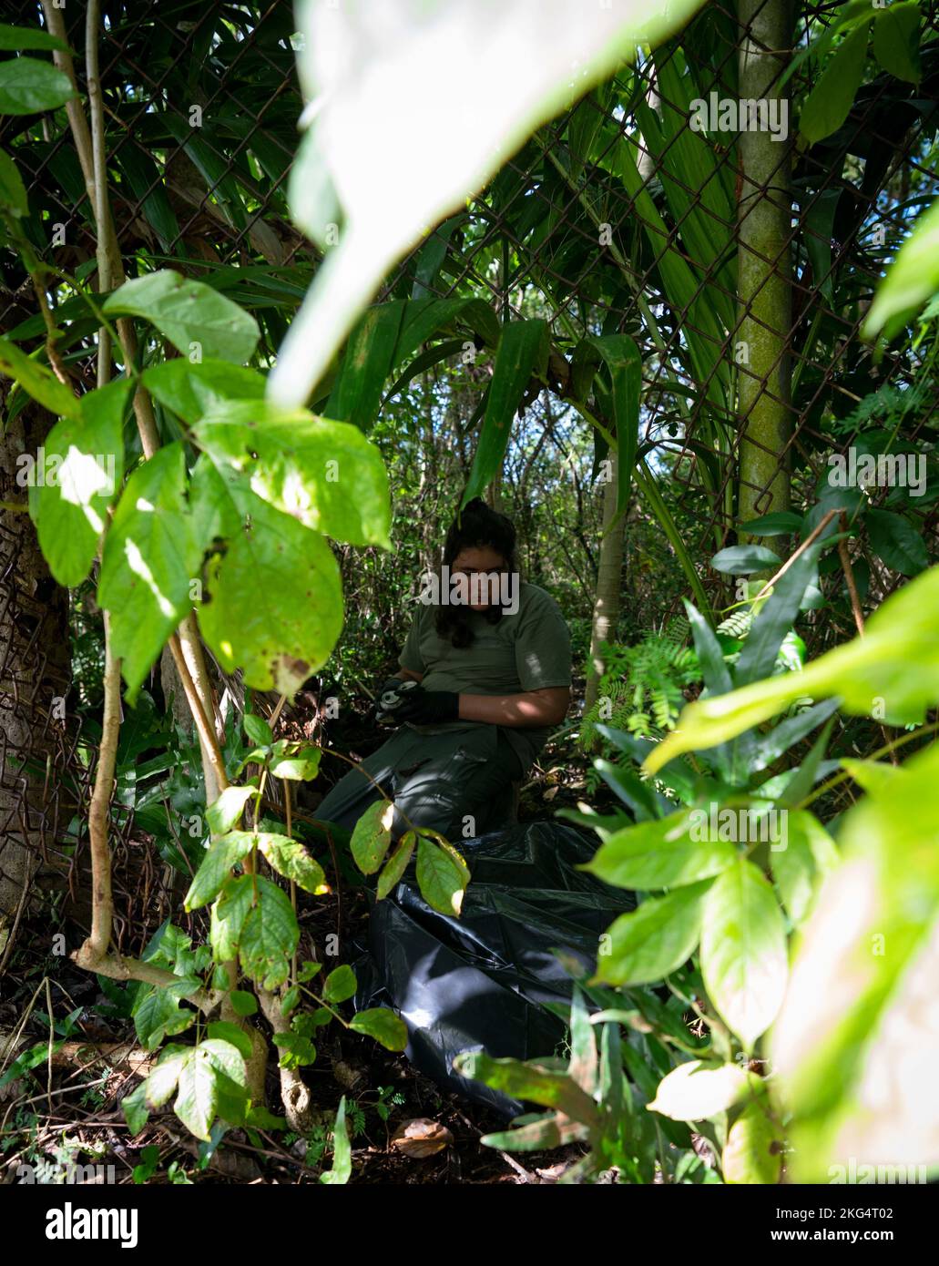 A Scout from Troop 1420 cleans up the Thousand Steps trail in Mangilao ...