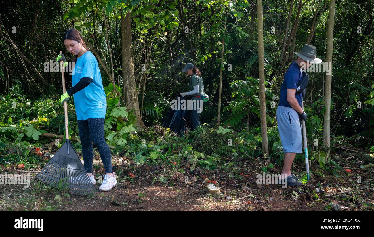 Scouts from Troop 1401 Scouts BSA and Troop 1423 Scouts BSA help clean ...