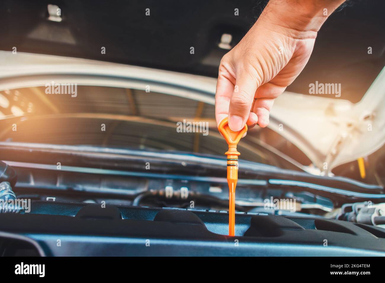 The mechanic is pulling the dipstick in the engine compartment to check the oil level , auto ...