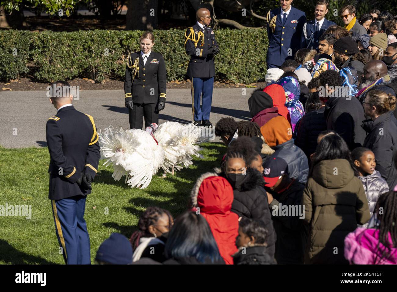 75th anniver hi-res stock photography and images - Alamy