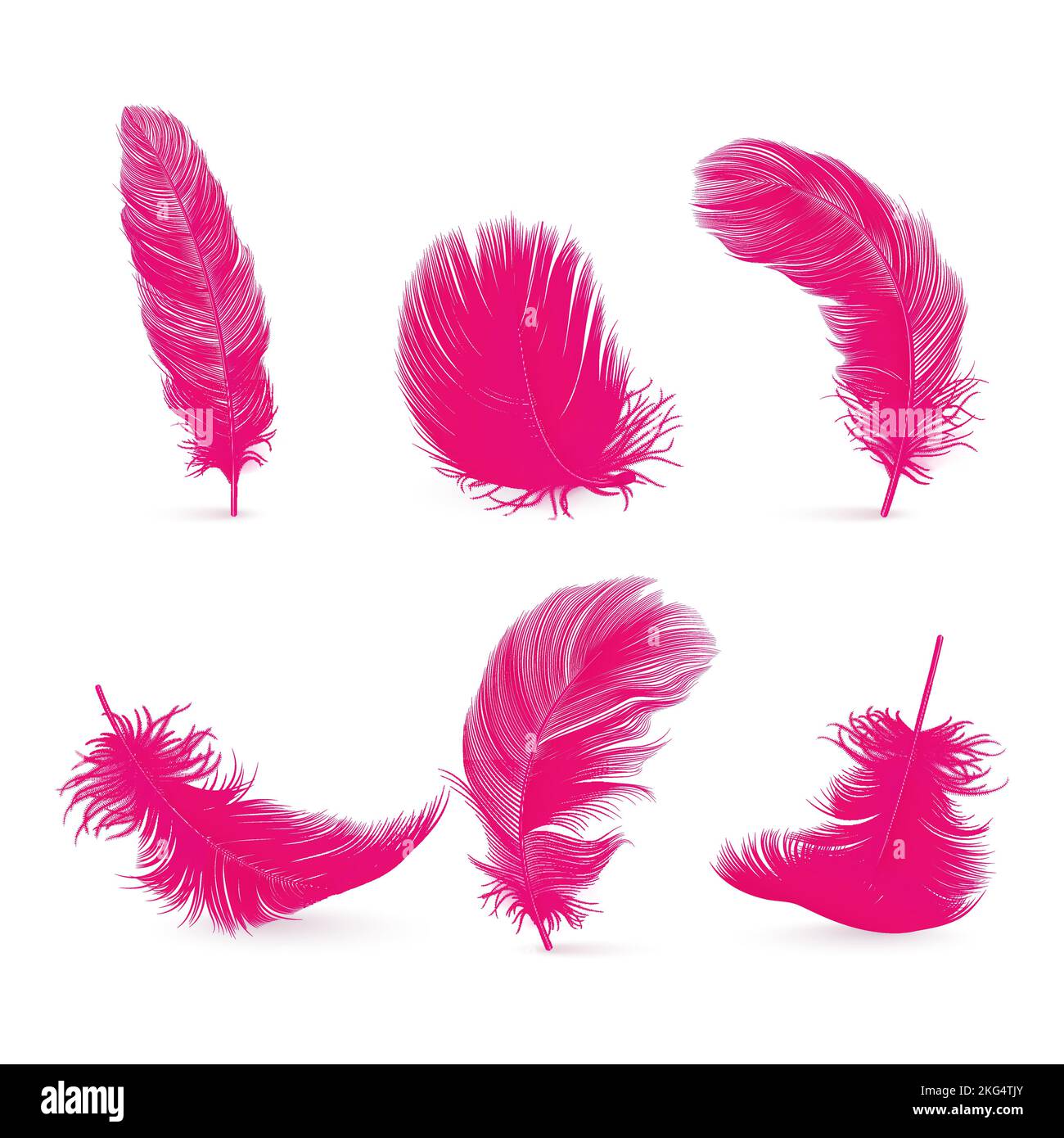 Vector 3d Realistic Pink Fluffy Feather Set Isolated on White ...