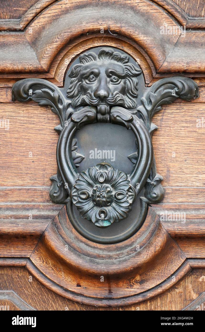 A vertical of an old metal door knocker with decorations and a lion's ...