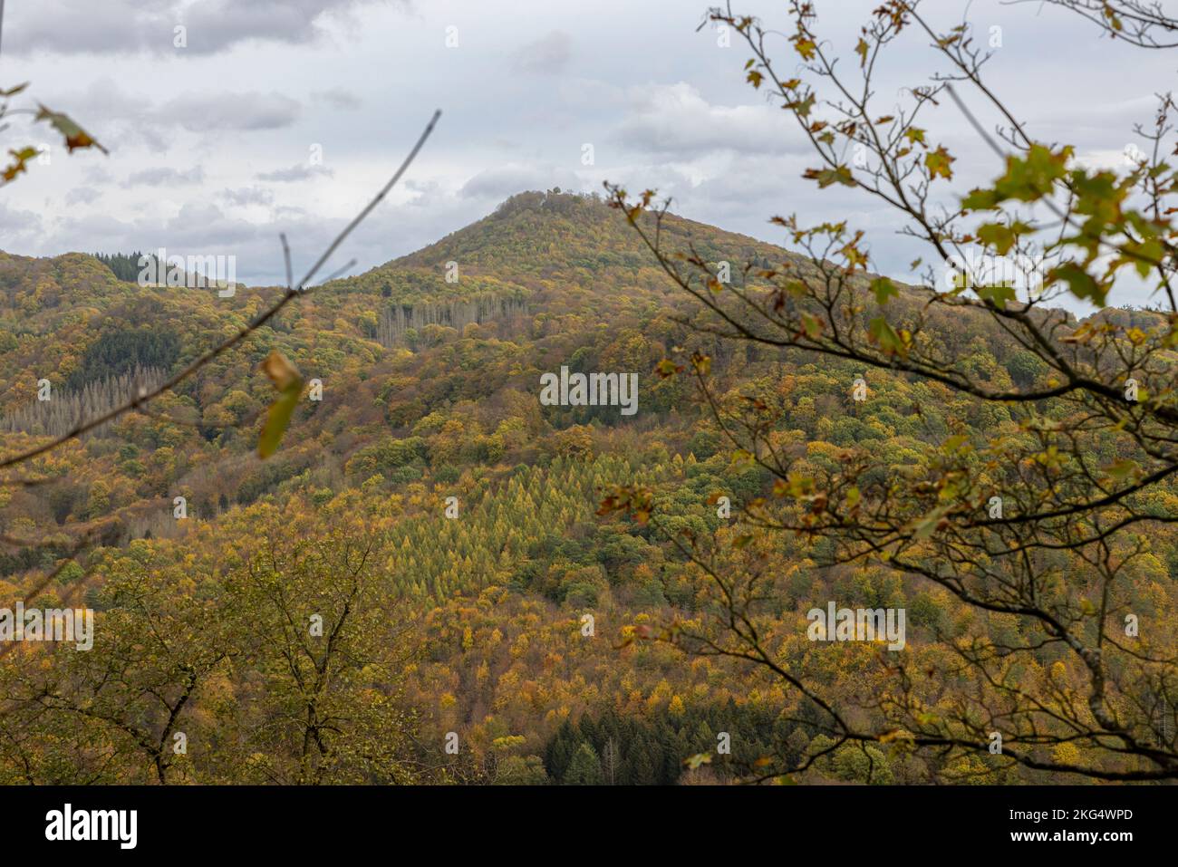 Region bonn hi-res stock photography and images - Alamy