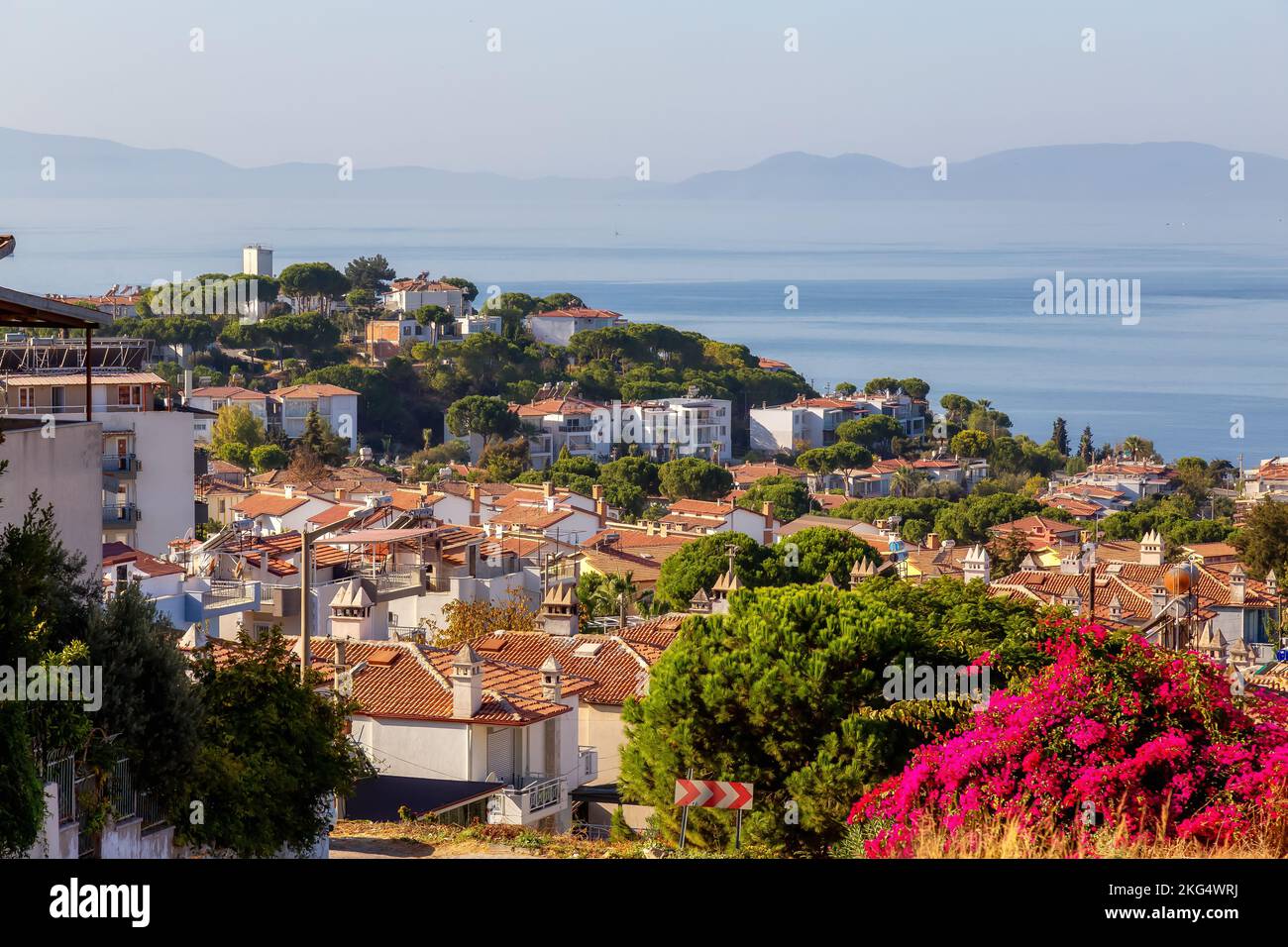 Street in Residential Neighborhood with homes and flowers overlooking ...