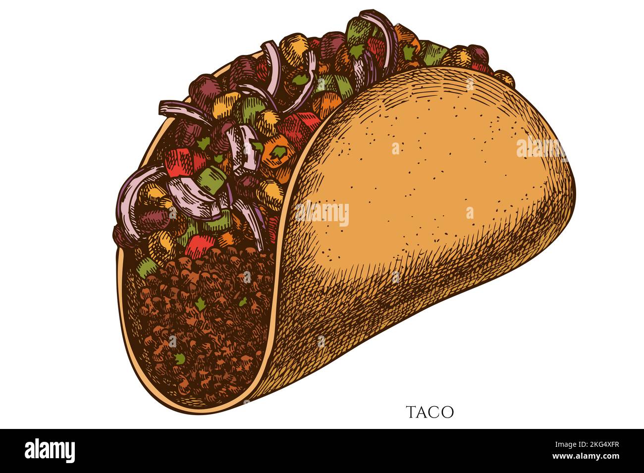 Street food hand drawn vector illustrations collection. Colored taco ...