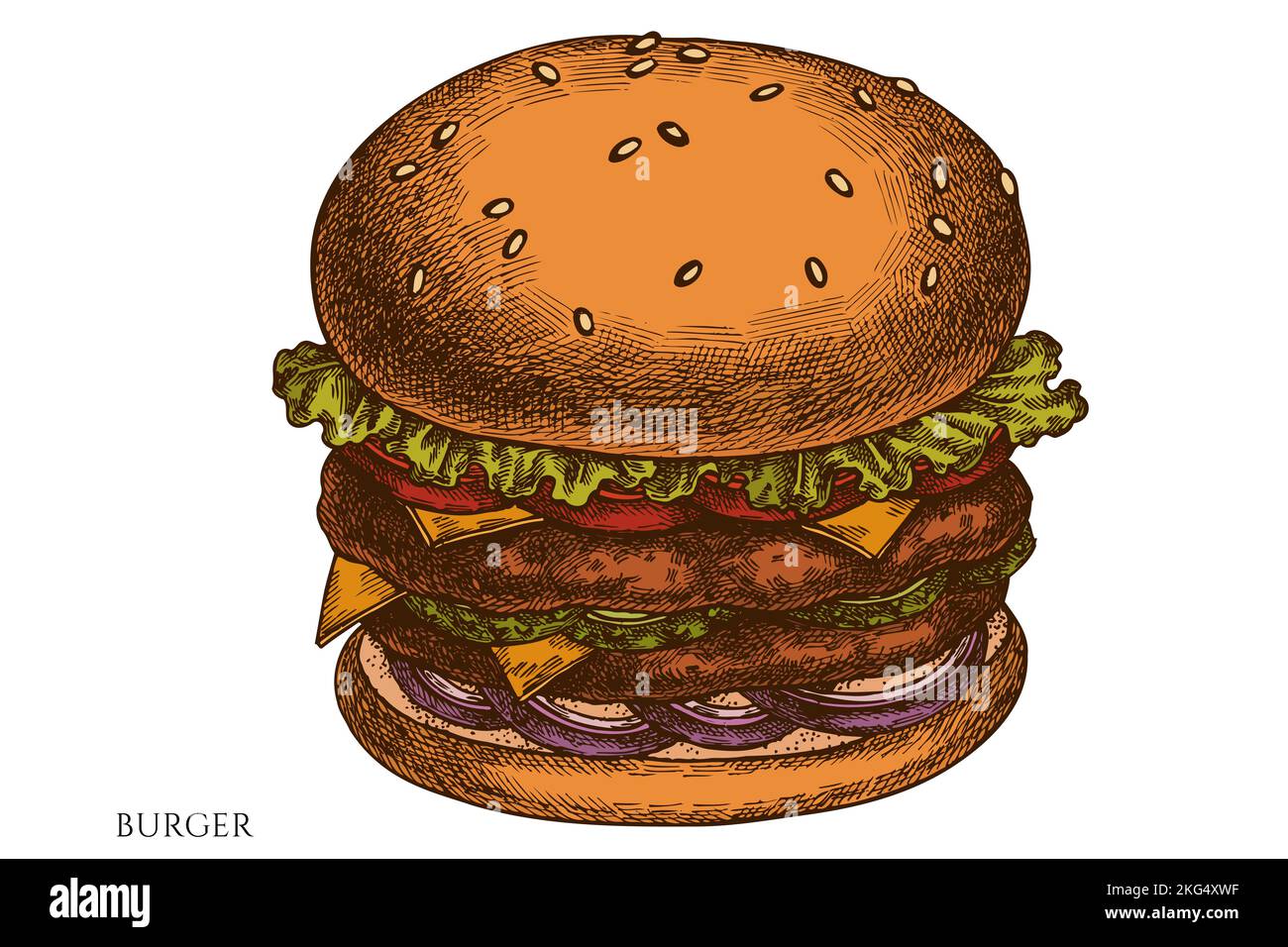 Street food hand drawn vector illustrations collection. Colored burger ...