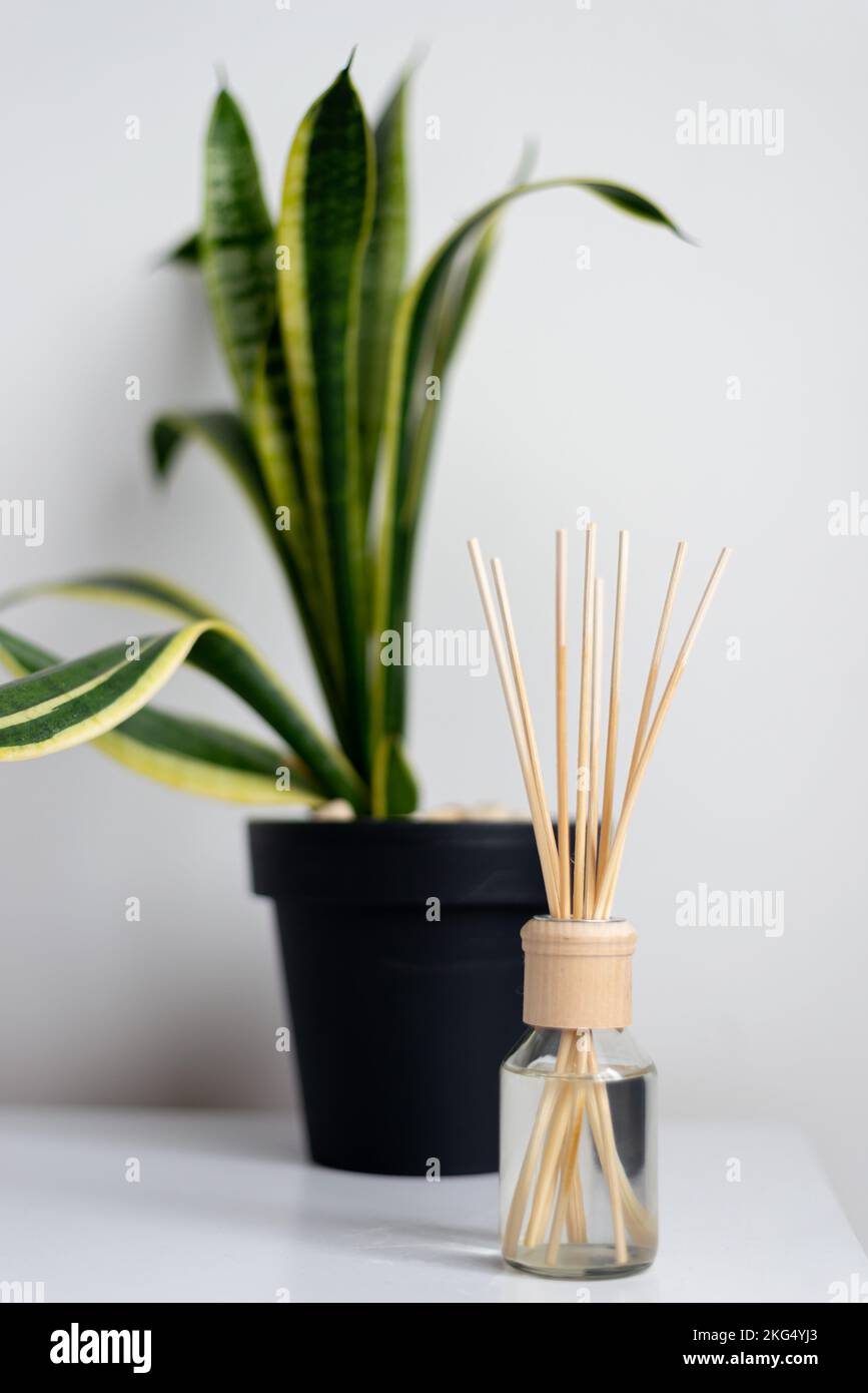 Aroma diffuser hi-res stock photography and images - Alamy