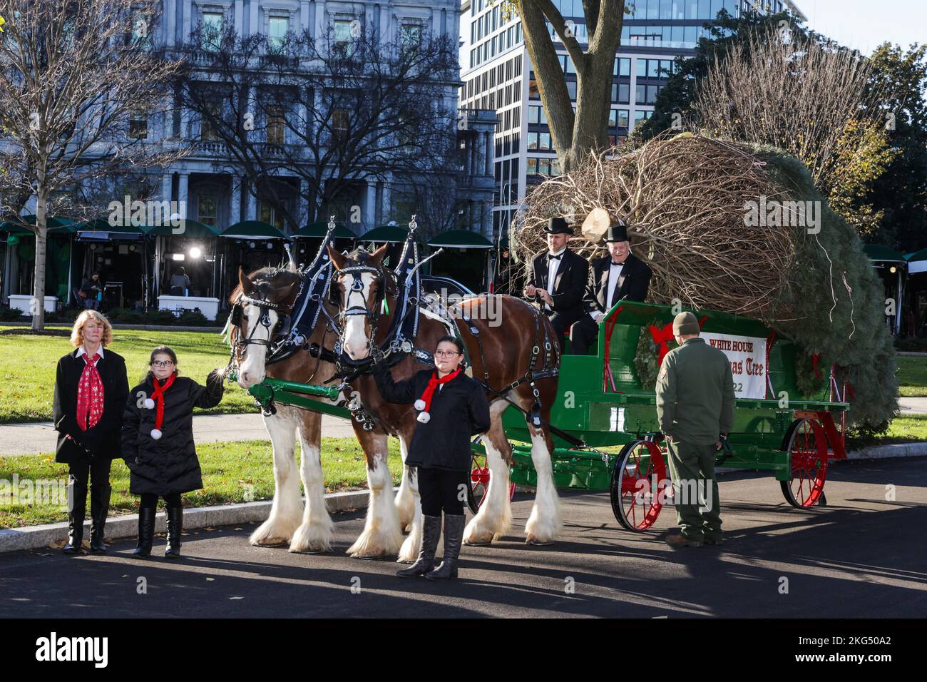 People assist in the arrival of the White House Christmas Tree on the ...