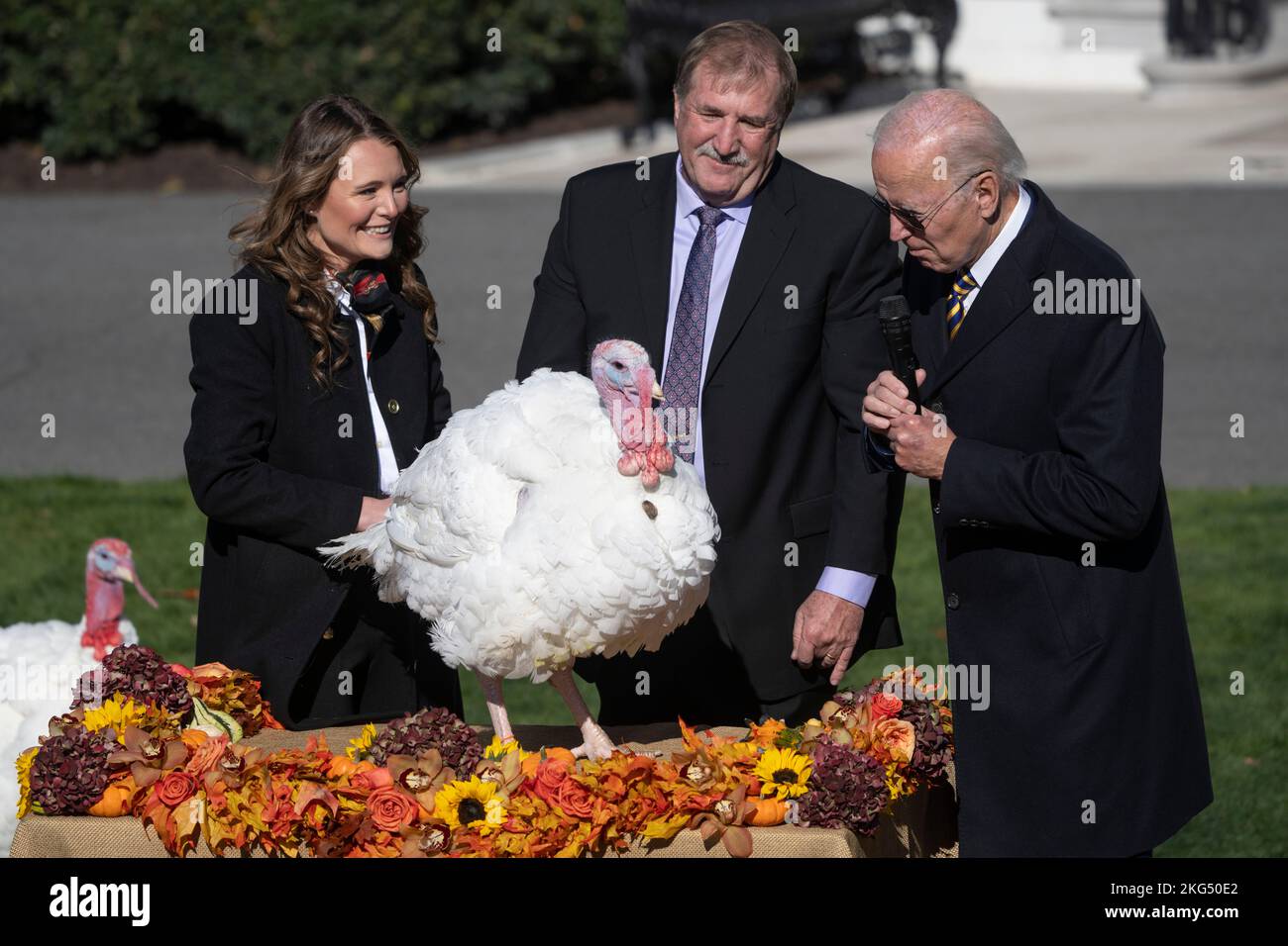 United States President Joe Biden pardons the National Thanksgiving ...