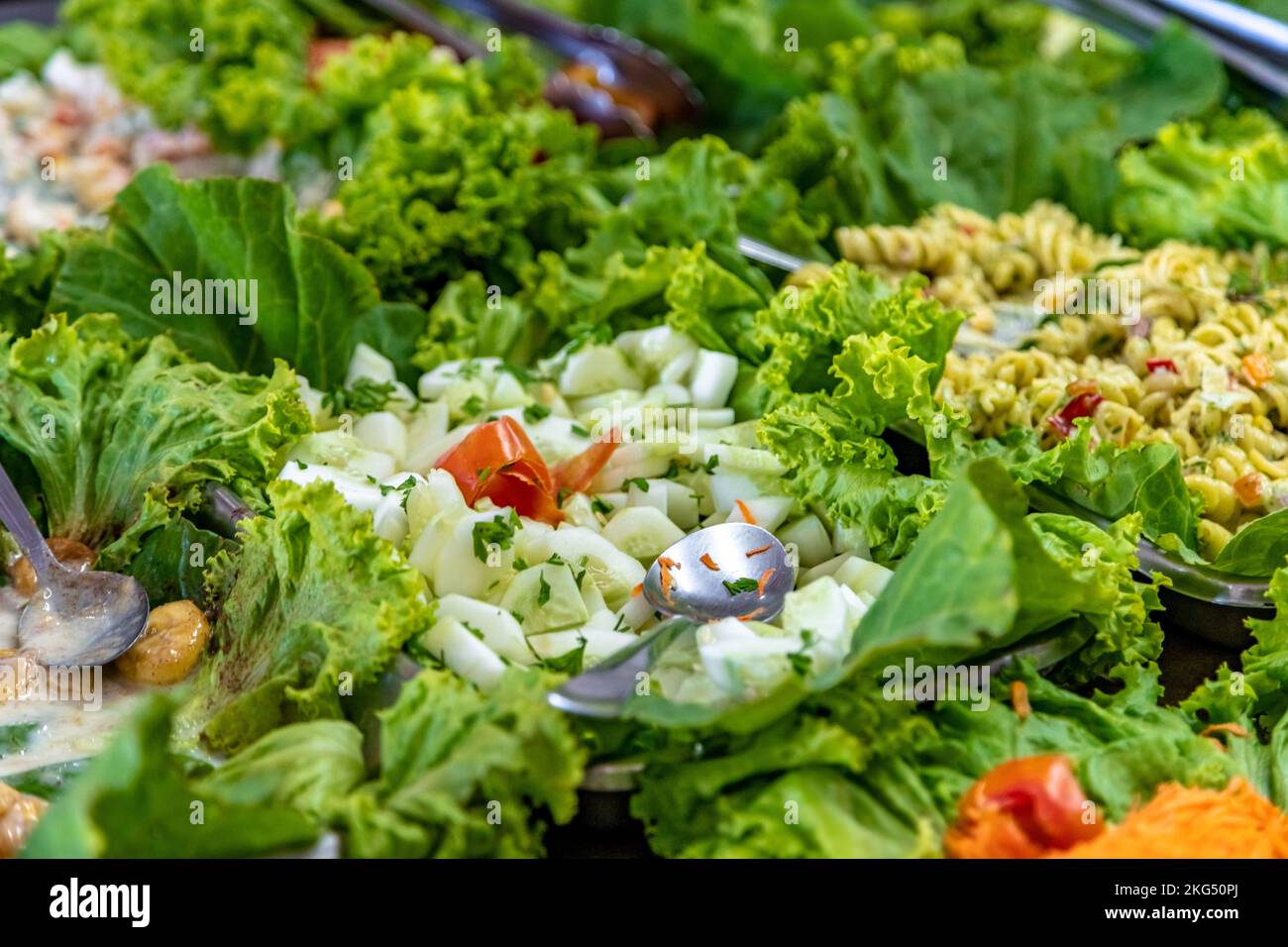 vegetable and pasta salads on the buffet table Stock Photo - Alamy