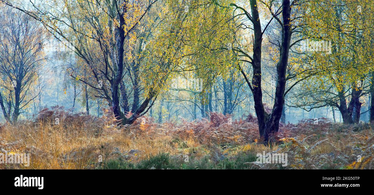 Brindley village hi-res stock photography and images - Alamy