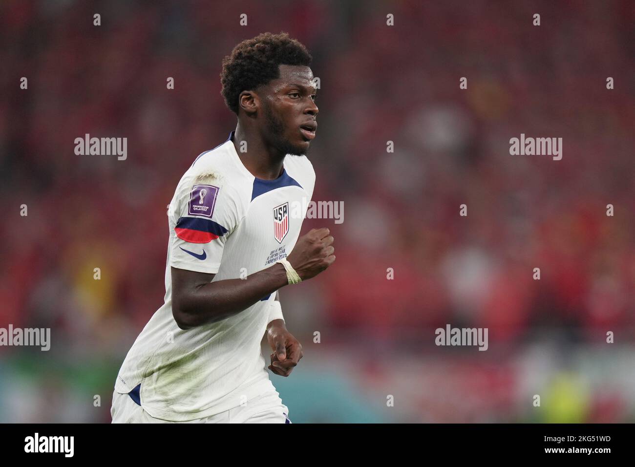 Doha, Qatar. 21st Nov, 2022. Yunus Musah of USA during the, Qatar ...