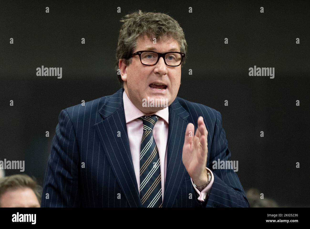 Conservative MP for New Brunswick Southwest John Williamson rises ...