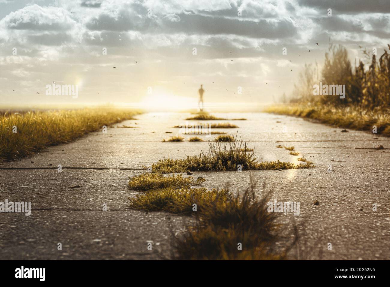 road into the light Stock Photo - Alamy