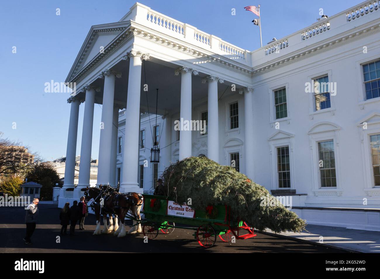 People assist in the arrival of the White House Christmas Tree on the ...