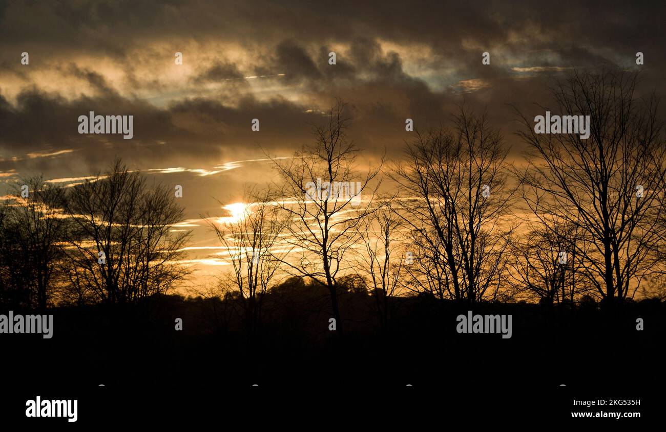 Sunset at Castle Ring on Cannock Chase an Area of Outstanding Natural ...
