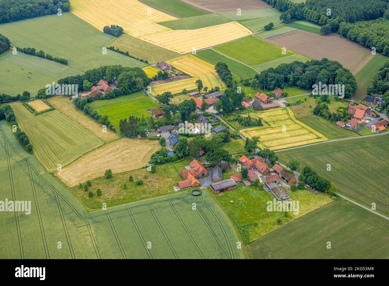 Aerial view, village view district Tannenberg, Haltern am See, Ruhr ...