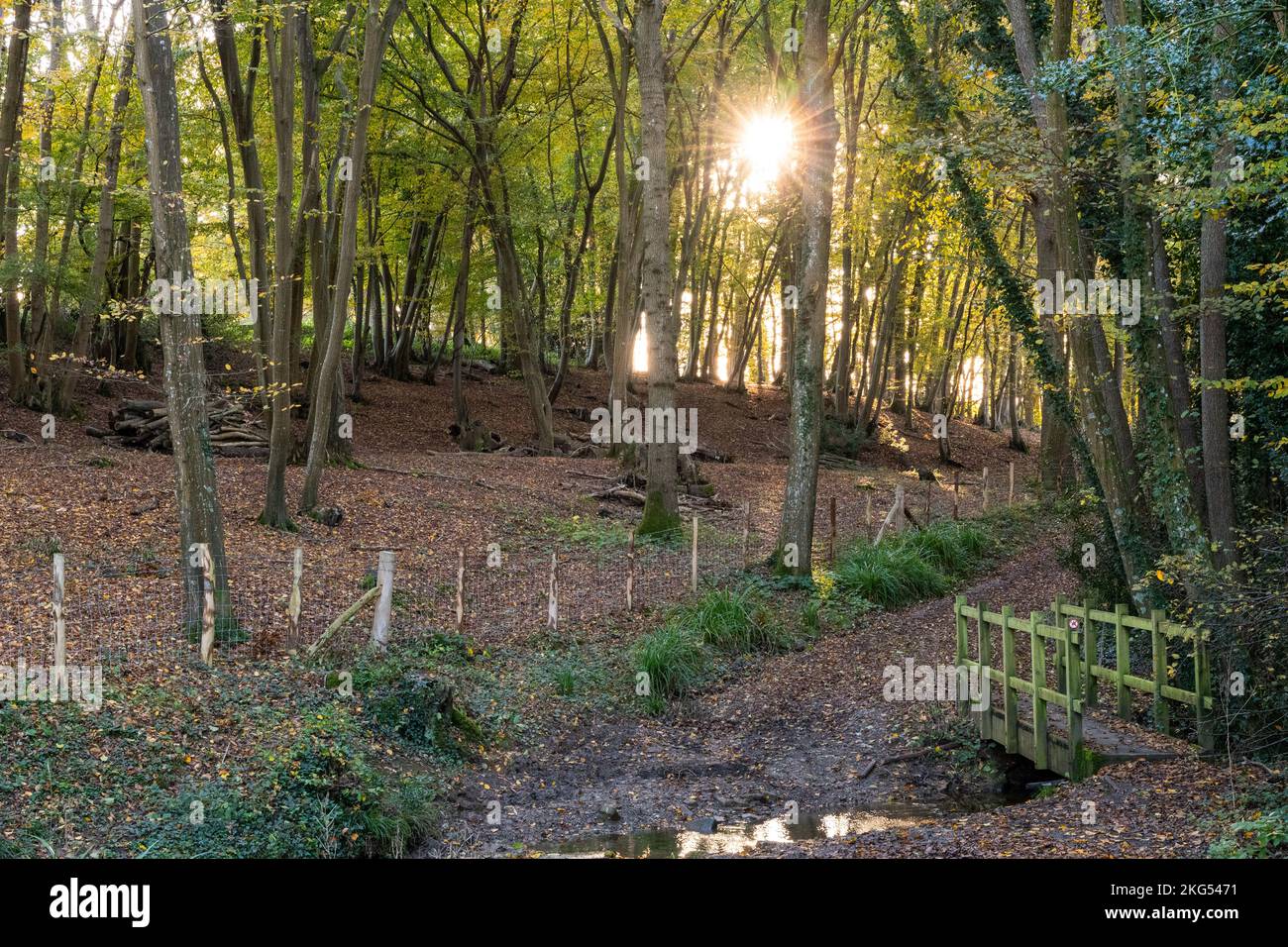 Cowbeech sussex hi-res stock photography and images - Alamy