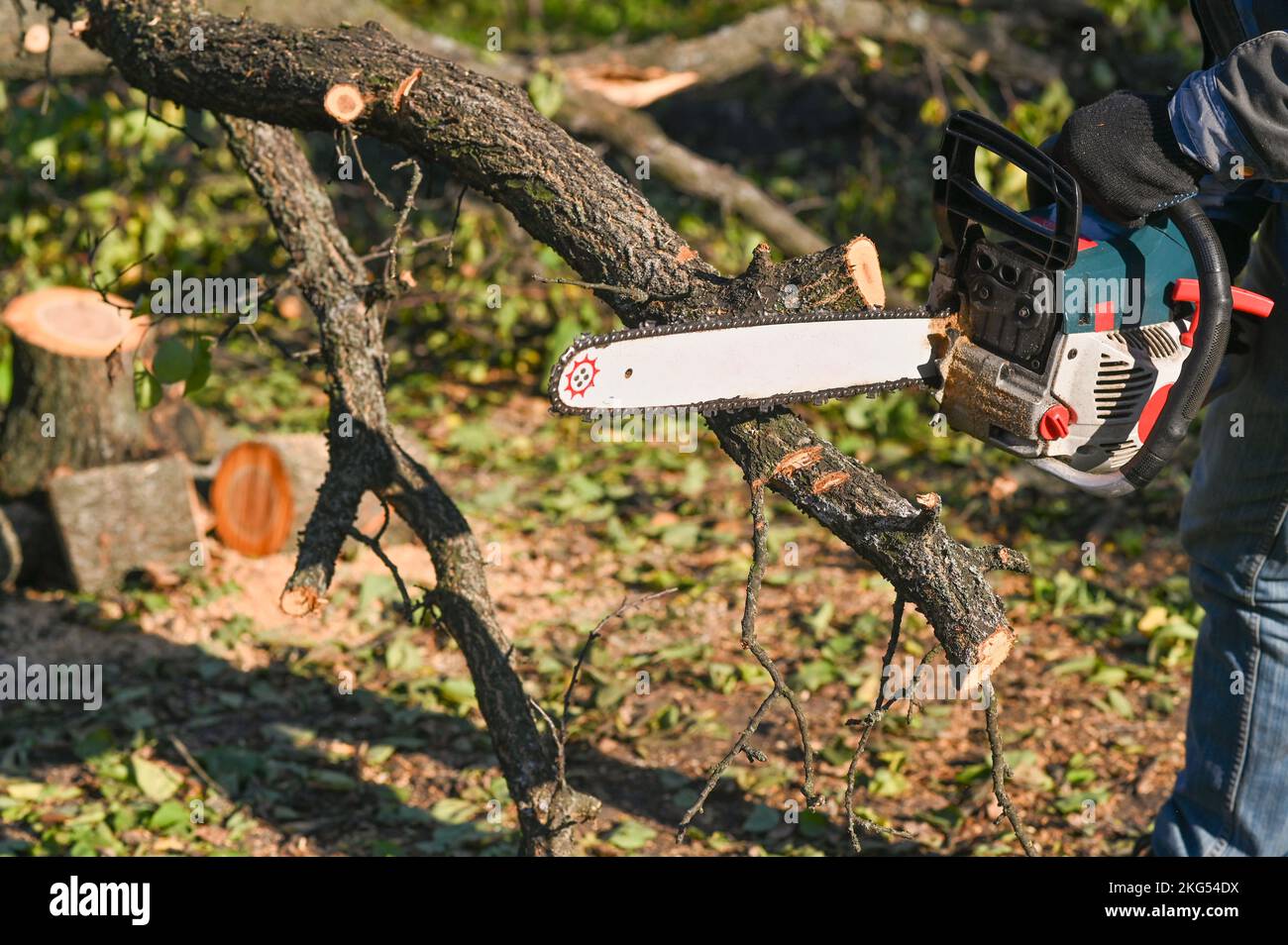professional chainsaw cuts firewoods. Close-up. sawing wood Stock Photo ...