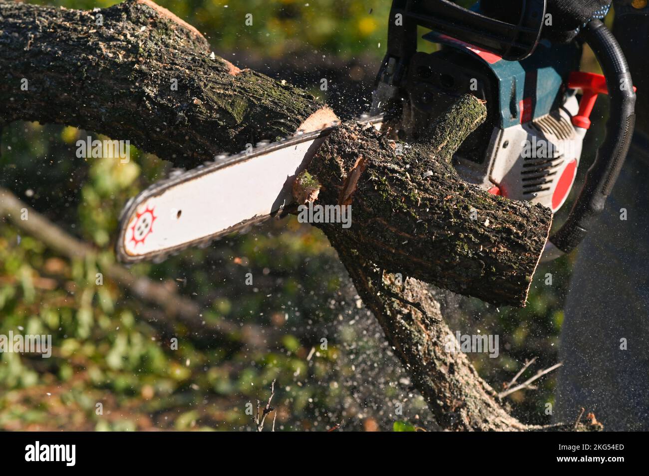 Chainsaw in action flying hi-res stock photography and images - Alamy