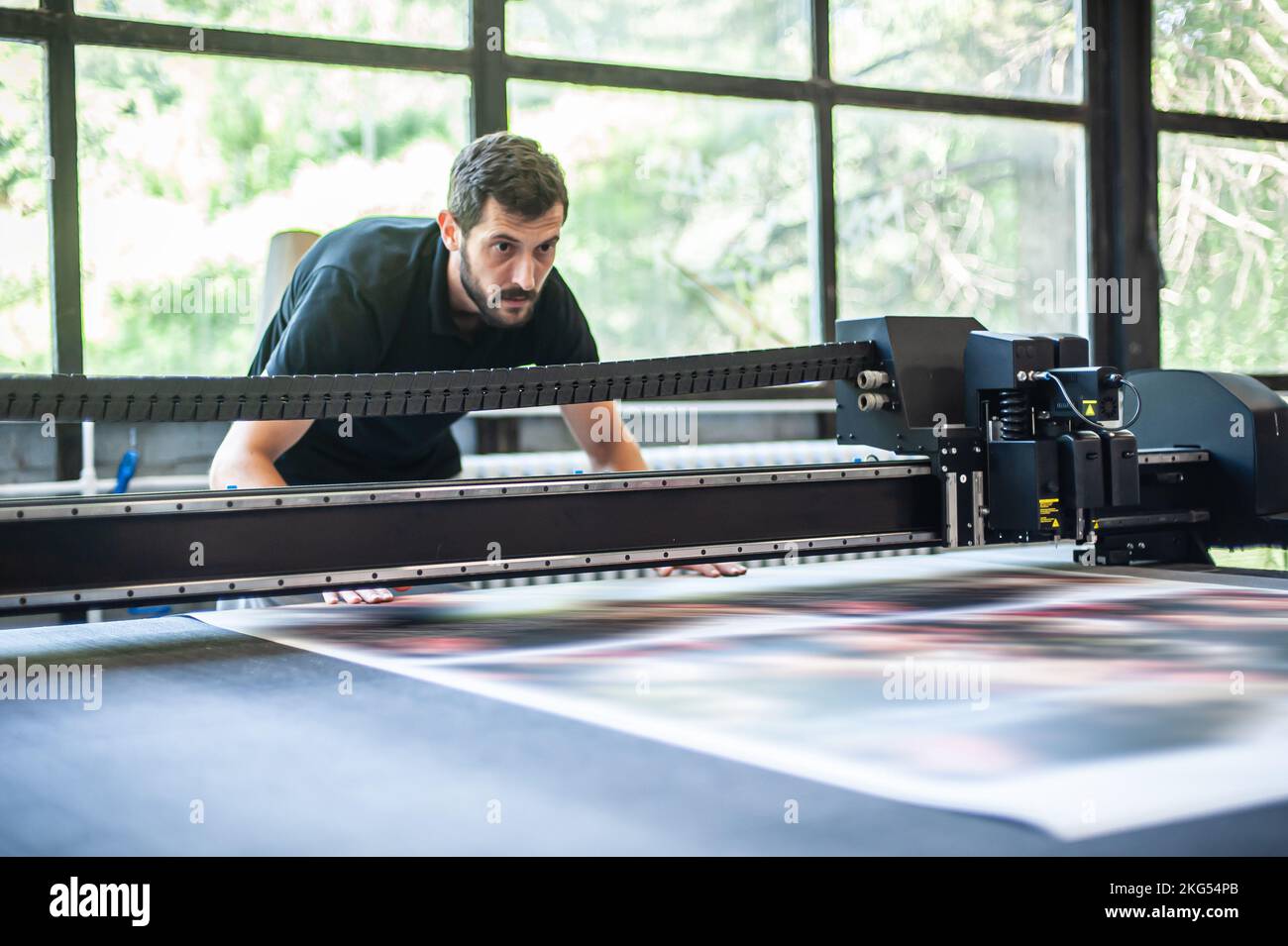 Professional printmaker hi-res stock photography and images - Alamy