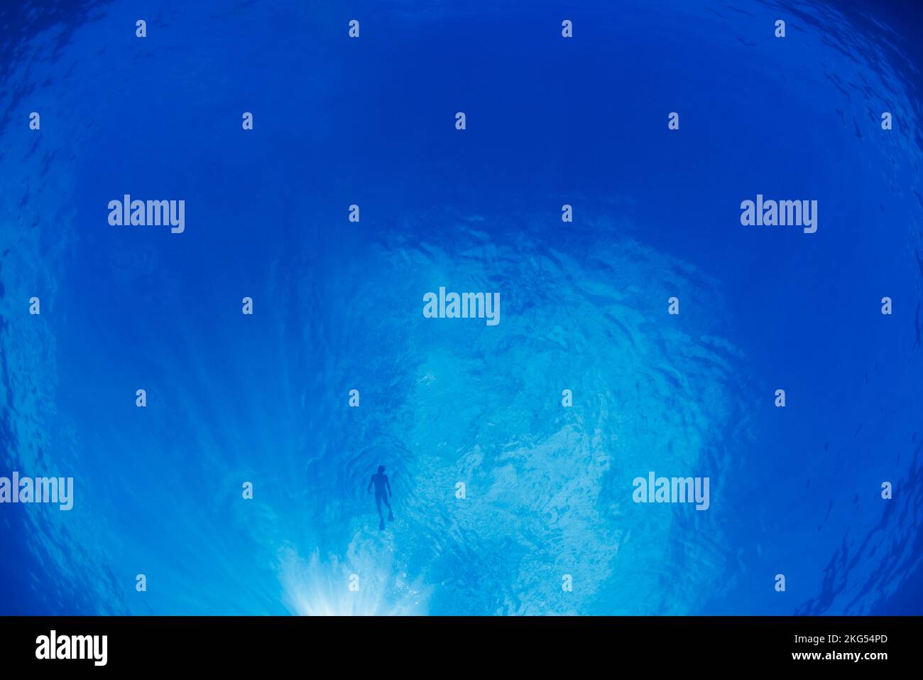 Looking up surface from underwater hi-res stock photography and images ...